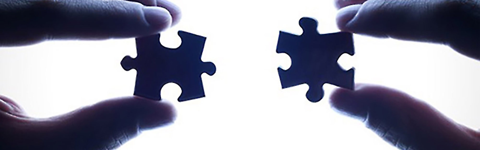 PARTENERIATE GRADINITĂ | Scoala Gimnaziala "Iancului"